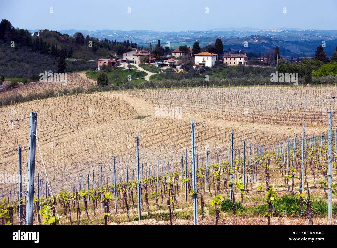 view of typical Tuscan landscape and a valley with vineyards, in the ...