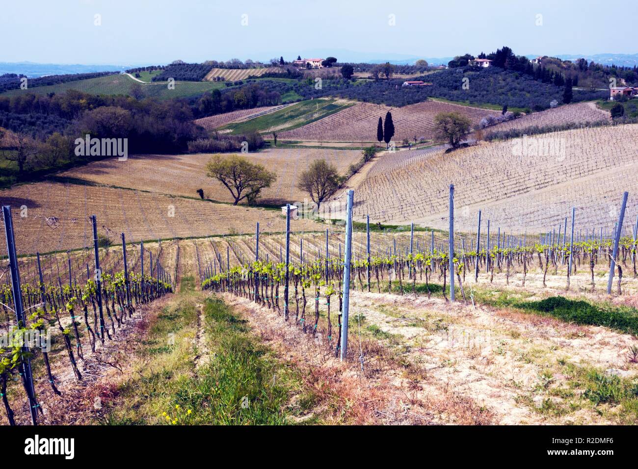 view of typical Tuscan landscape and a valley with vineyards, in the ...