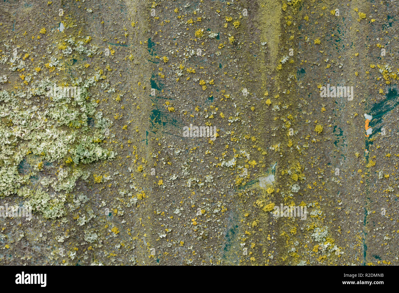 Sheet metal with traces of green Moss in Detail as Background Stock ...