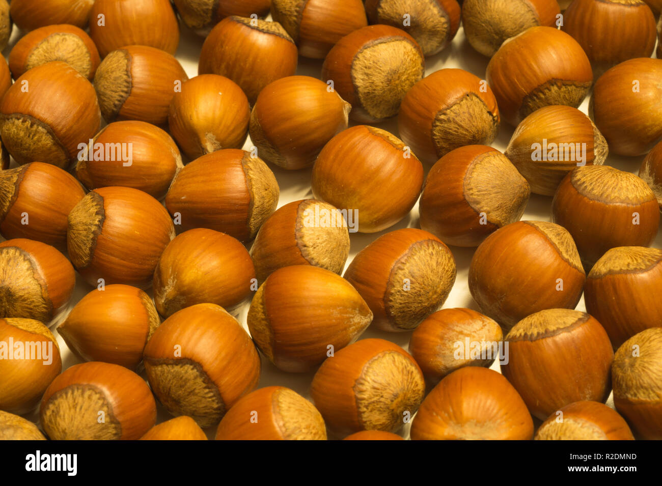 Wallpaper Hazelnut High Resolution Stock Photography and Images - Alamy