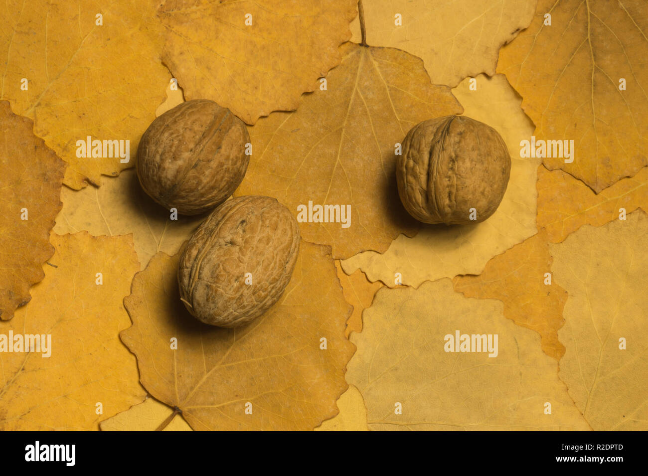 Walnuts with autumn leaves background Stock Photo - Alamy