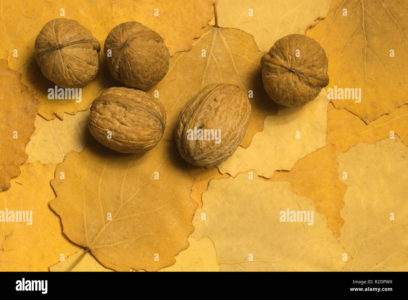 Fall leafage hi-res stock photography and images - Alamy