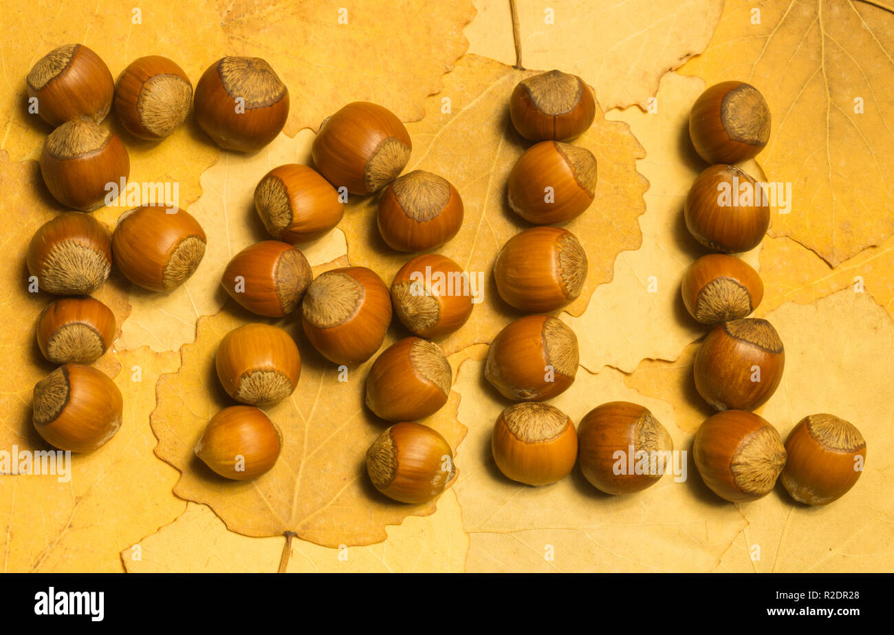 Hazelnuts with autumn leaves background Stock Photo - Alamy