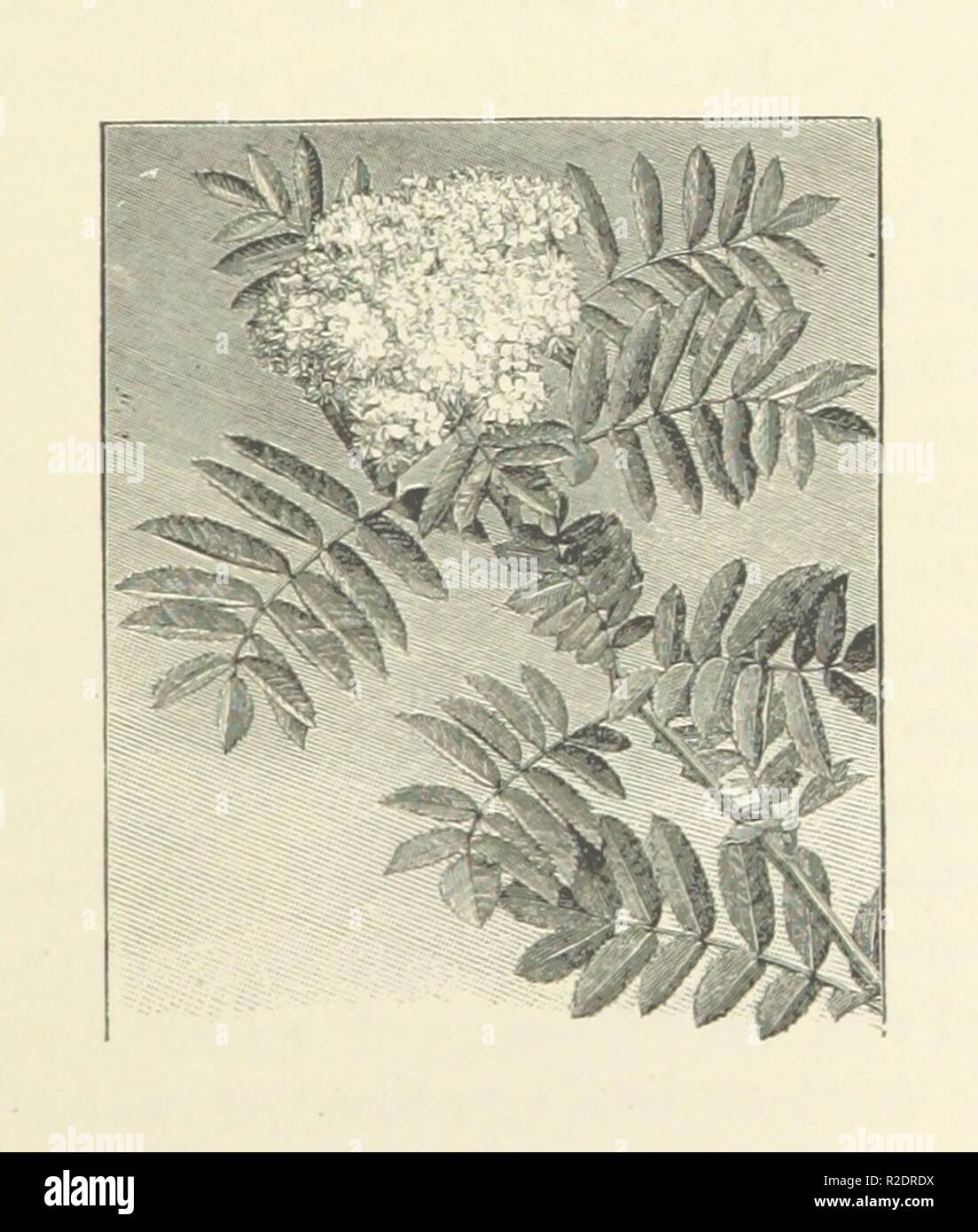 Klephts hi-res stock photography and images - Alamy