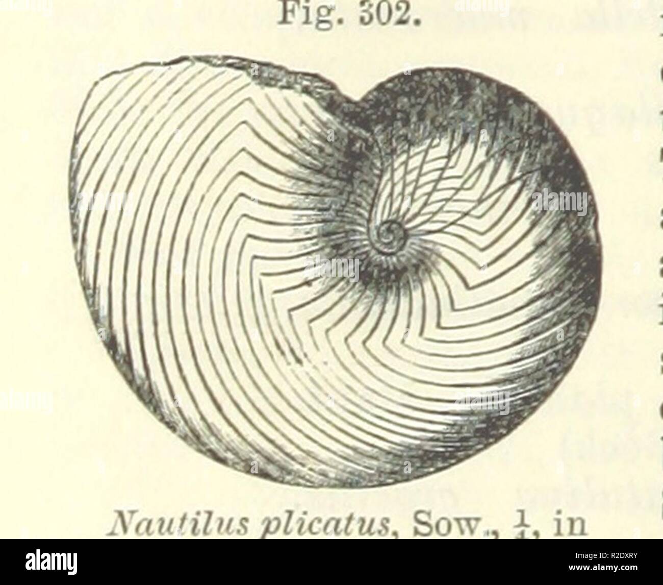 page 296 of 'The Student's Lyell. A manual of elementary geology ...