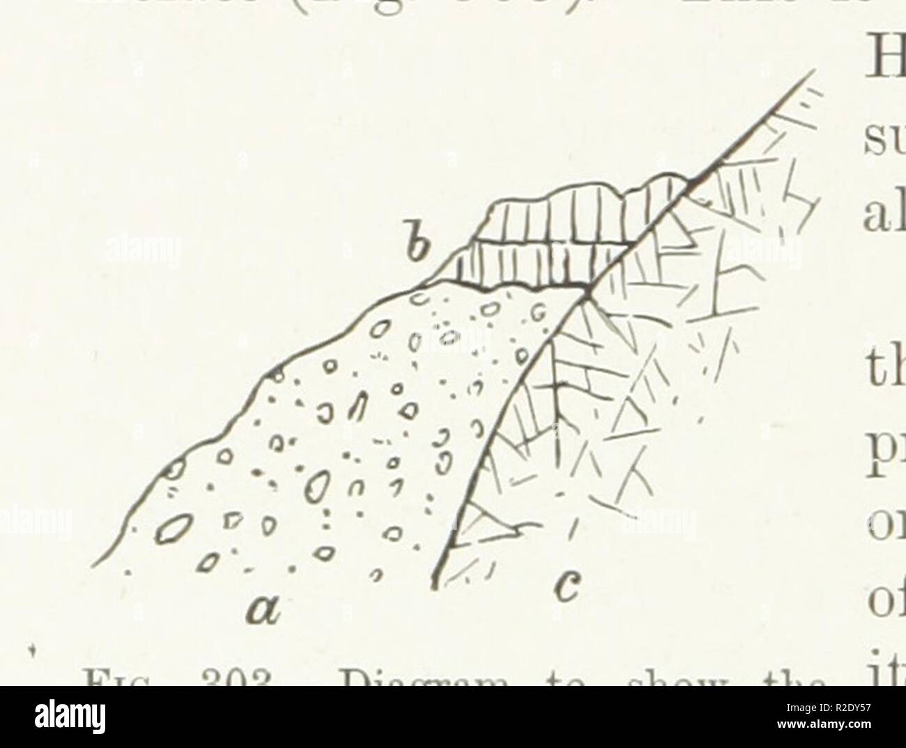 page 304 of 'The Ancient Volcanoes of Great Britain . With seven maps ...