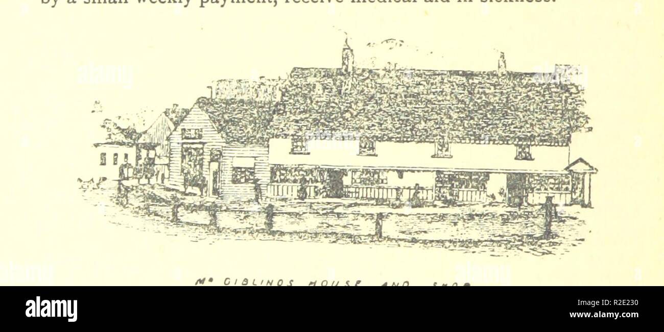 page 388 of 'The History of Tooting-Graveney, Surrey. Compiled original ...