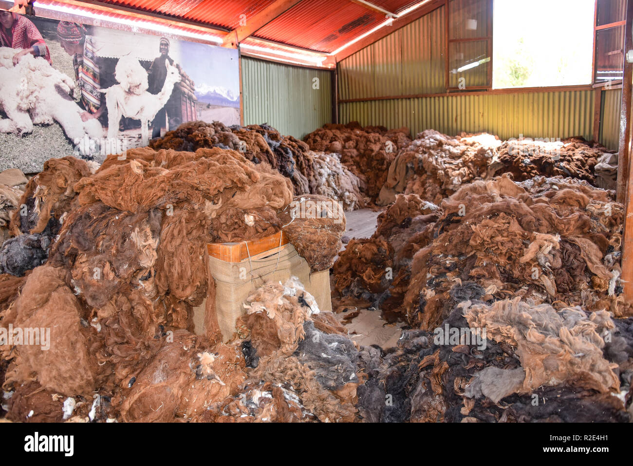 Arequipa, Peru - October 7, 2018: Piles of raw alpaca wool awaiting ...