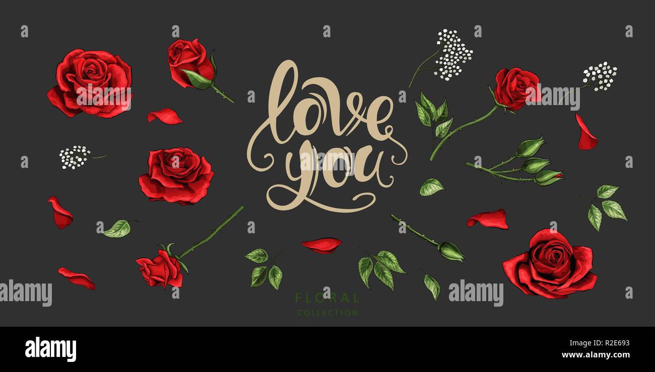 Red roses hand drawn illustration elements colored set Stock Vector ...