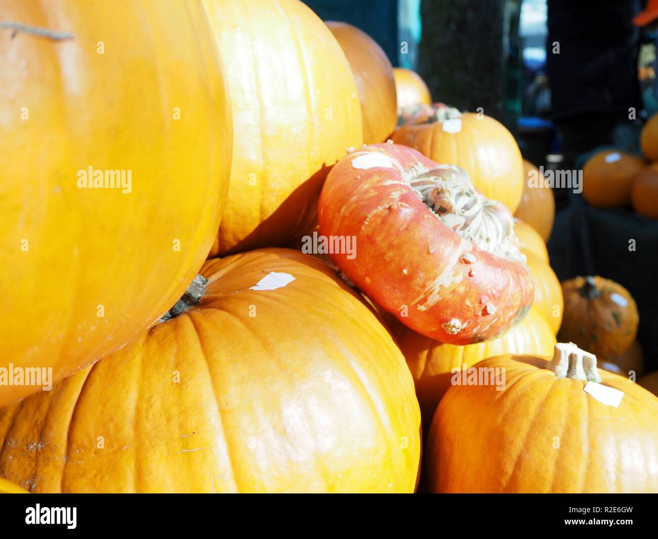 Pumkin shaped hi-res stock photography and images - Alamy