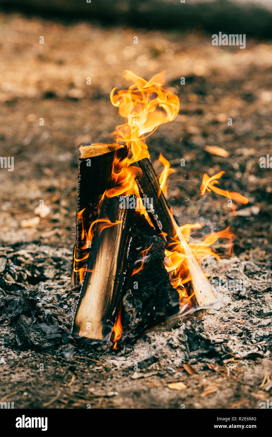 Active fireplace hi-res stock photography and images - Alamy