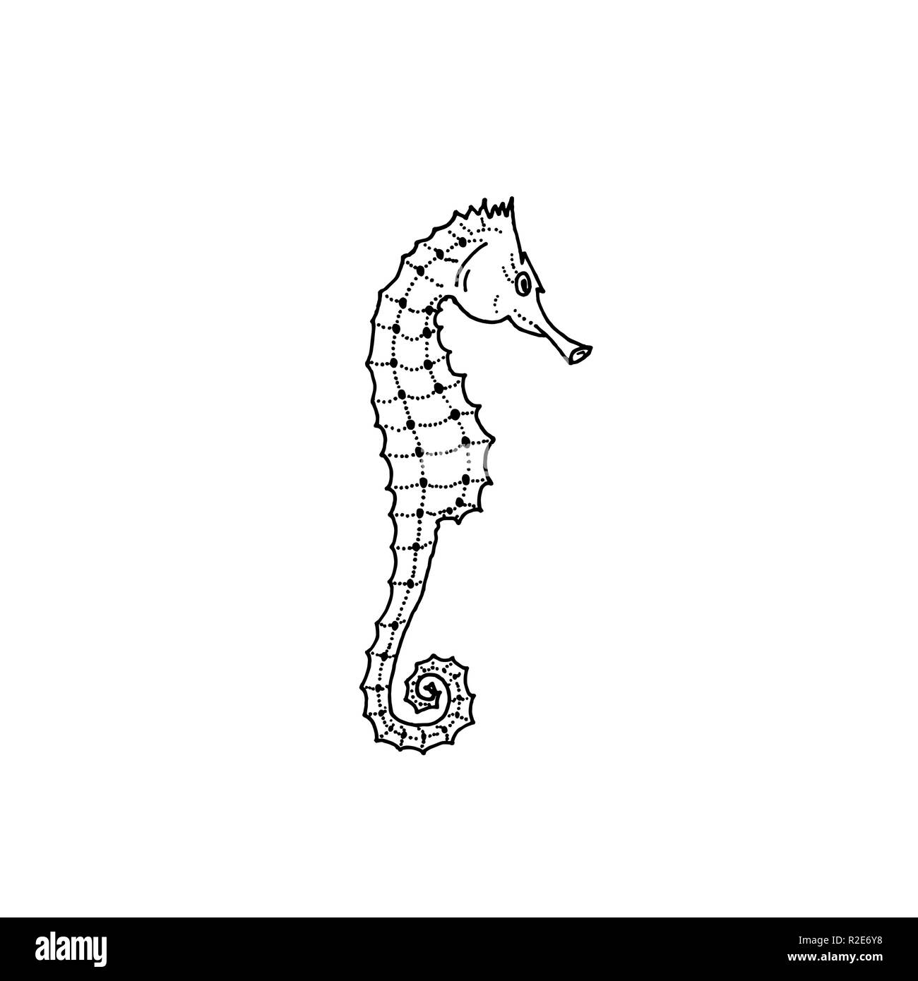 Pencil Drawings Of Seahorses