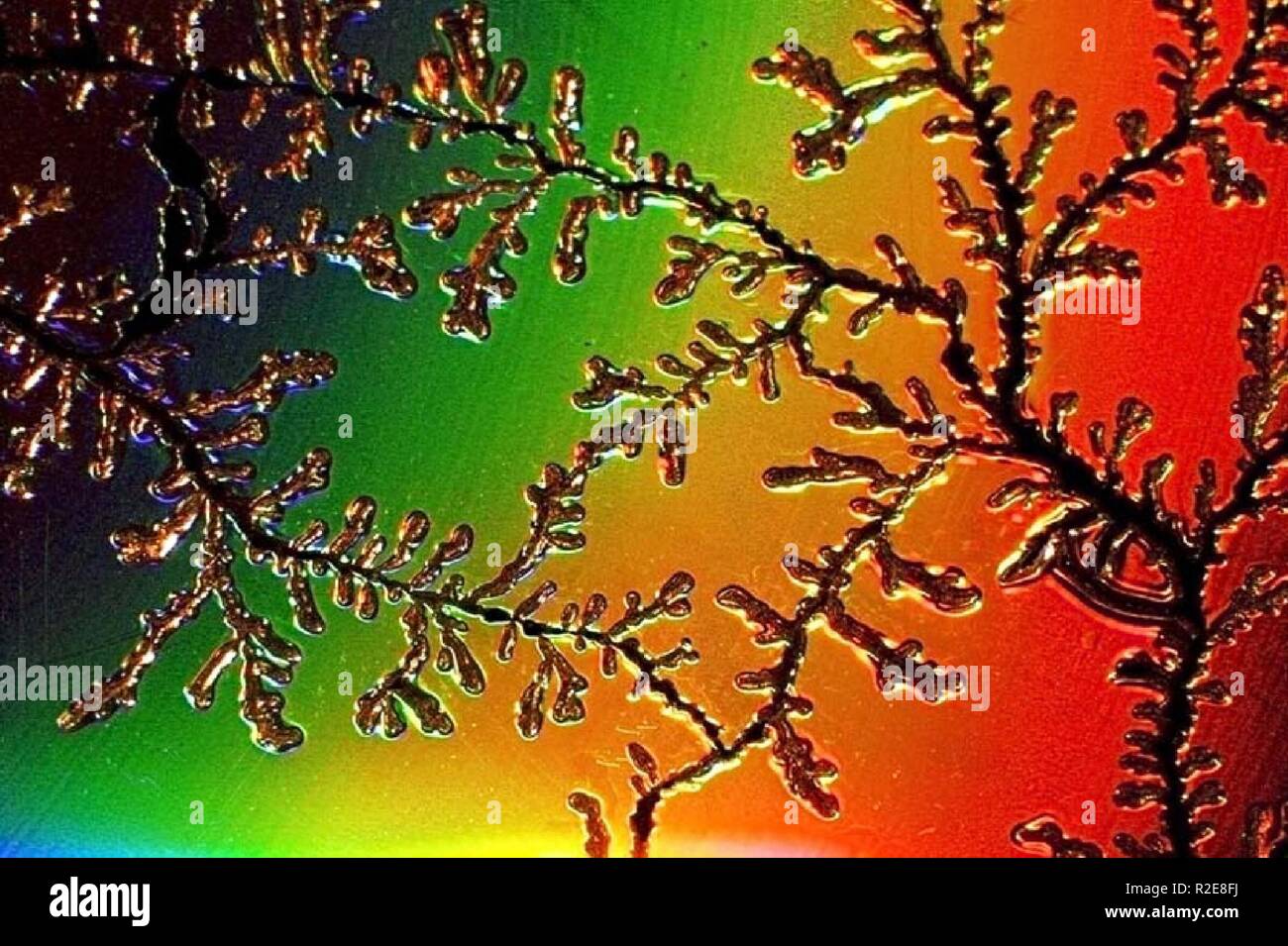 Burned cd hi-res stock photography and images - Alamy