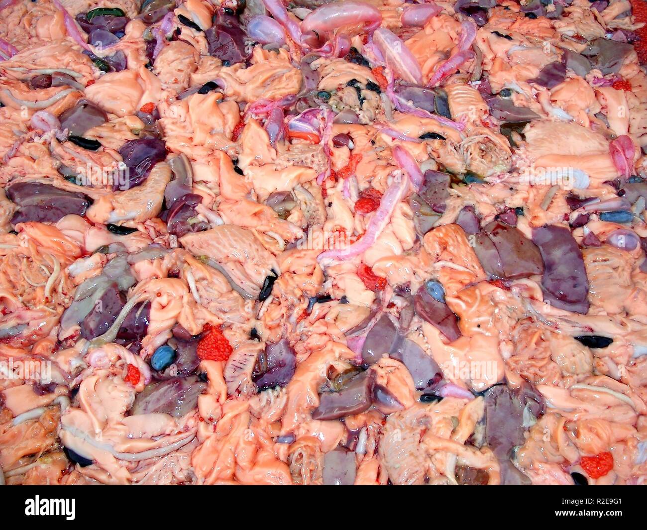 remains of the left fish Stock Photo - Alamy