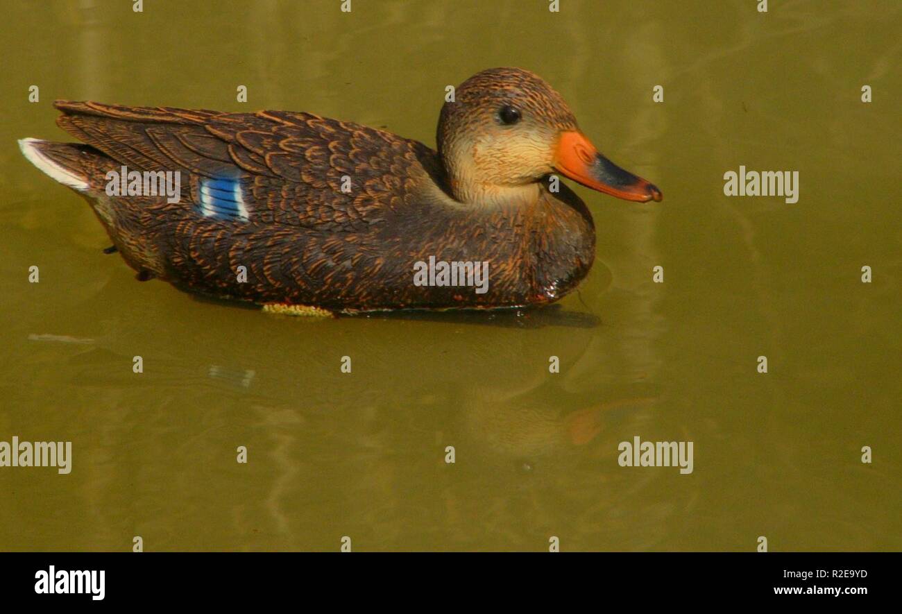 Ta uschend hi-res stock photography and images - Alamy