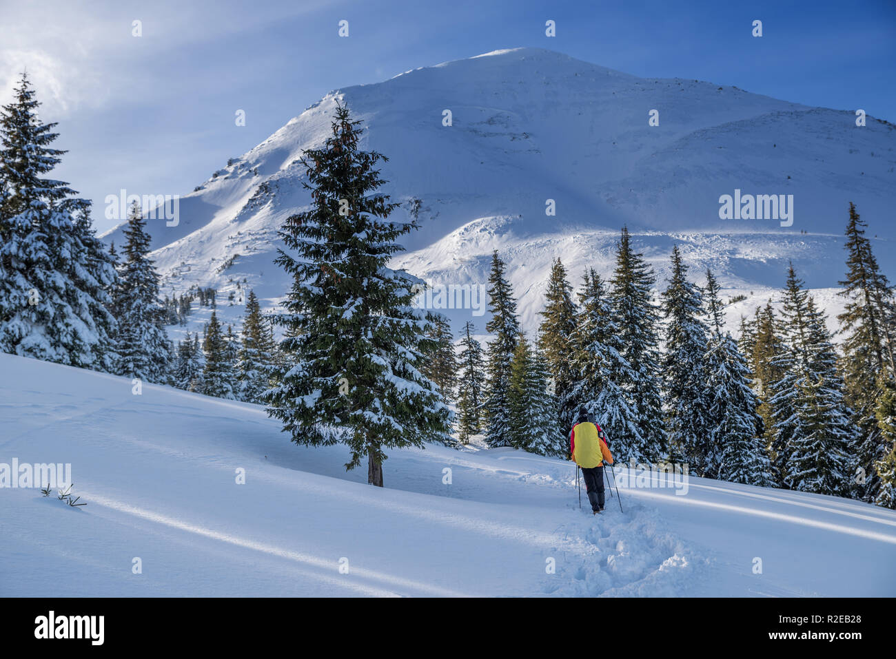 Winter hiking. Tourists are hiking in the snow-covered mountains ...