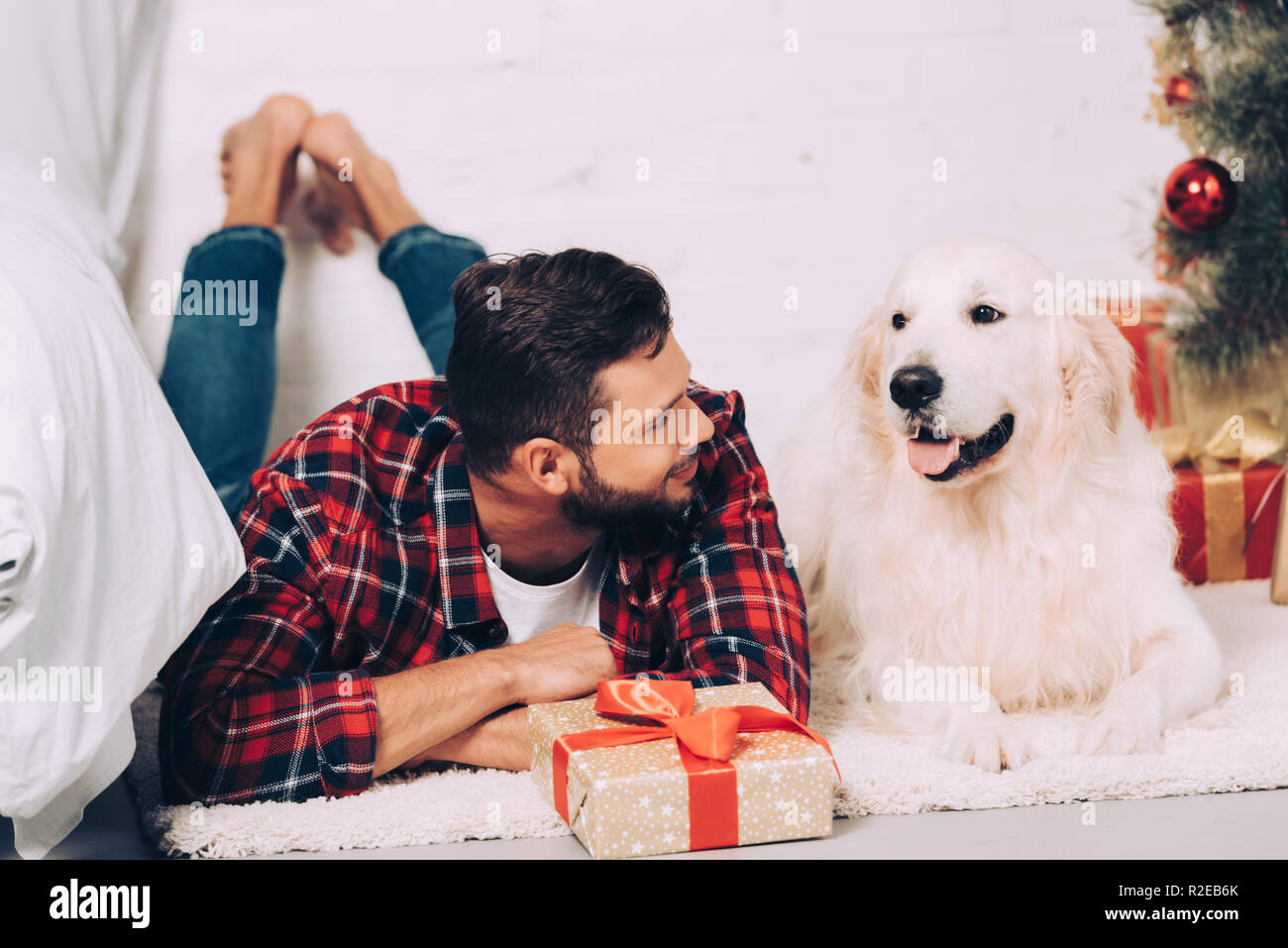 Handsome golden retriever hi-res stock photography and images - Alamy