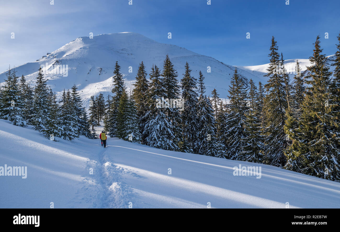 Winter hiking. Tourists are hiking in the snow-covered mountains ...