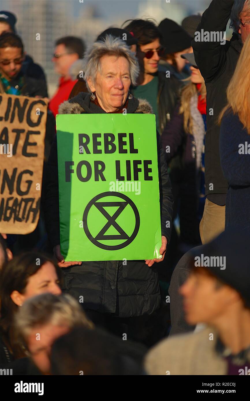 The Extinction Rebellion Campaign group protest on five major bridges ...