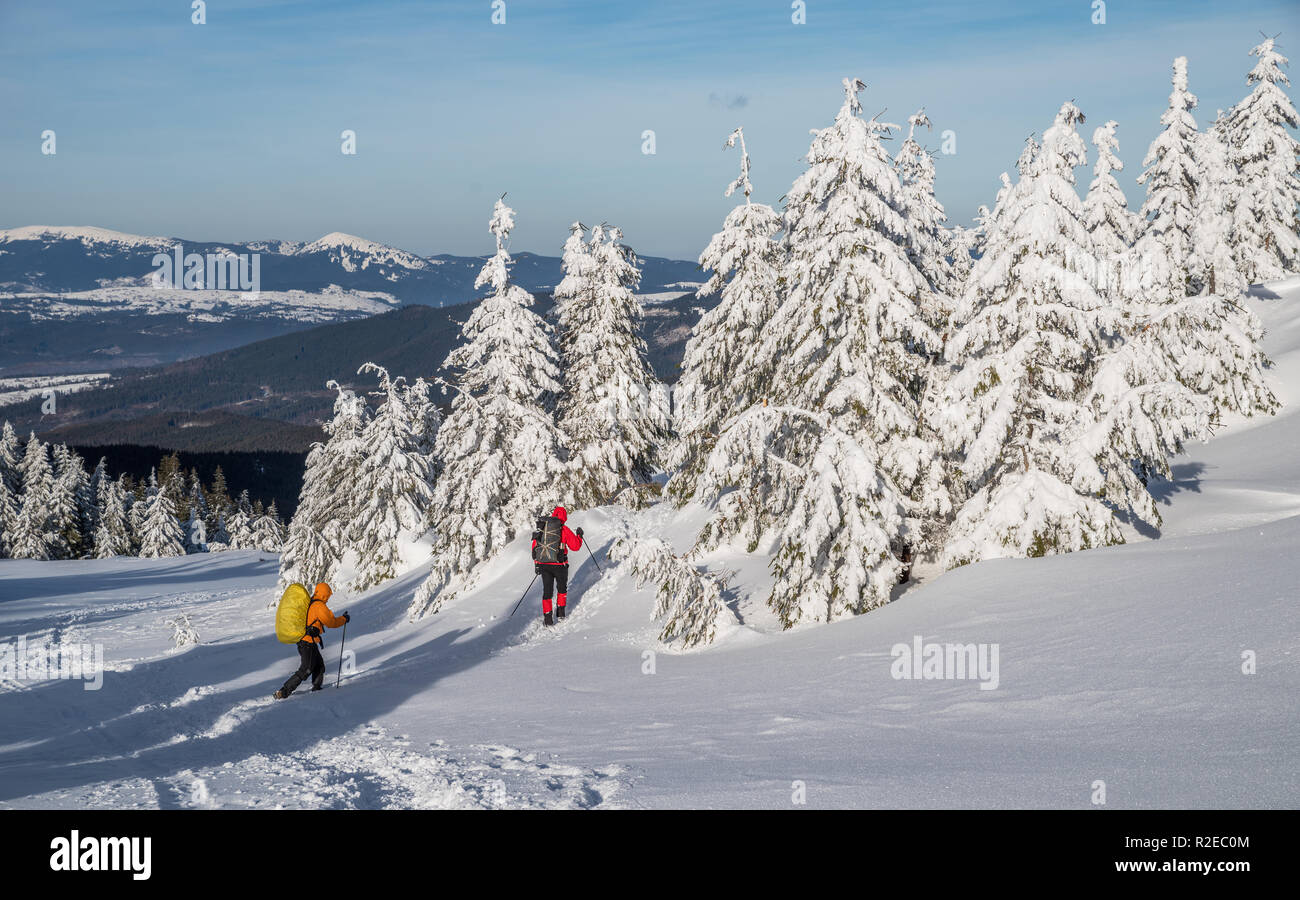 Winter hiking. Tourists are hiking in the snow-covered mountains ...