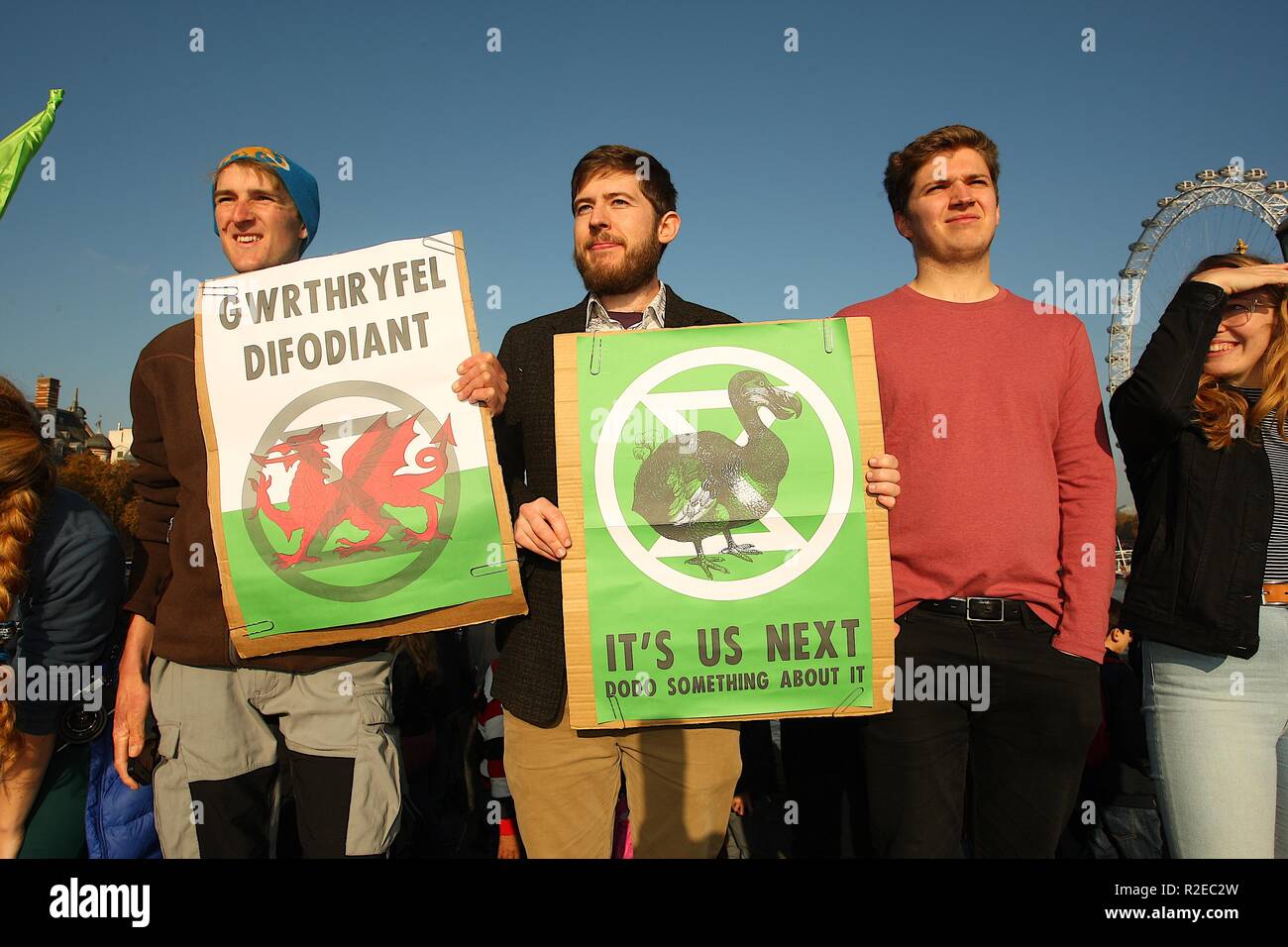 The Extinction Rebellion Campaign group protest on five major bridges ...