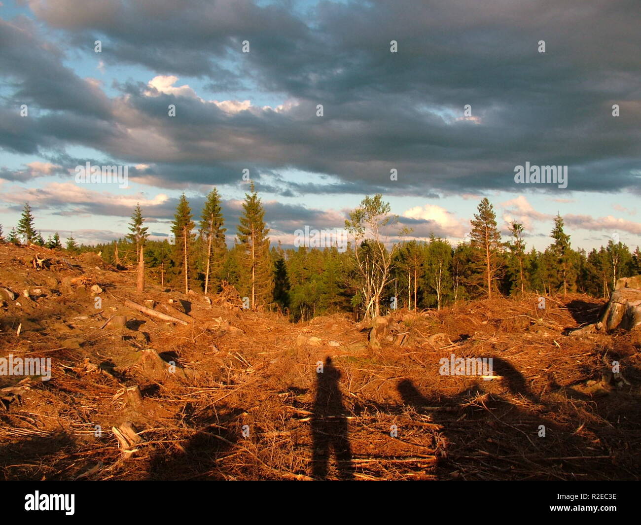 Shine debris hi-res stock photography and images - Alamy