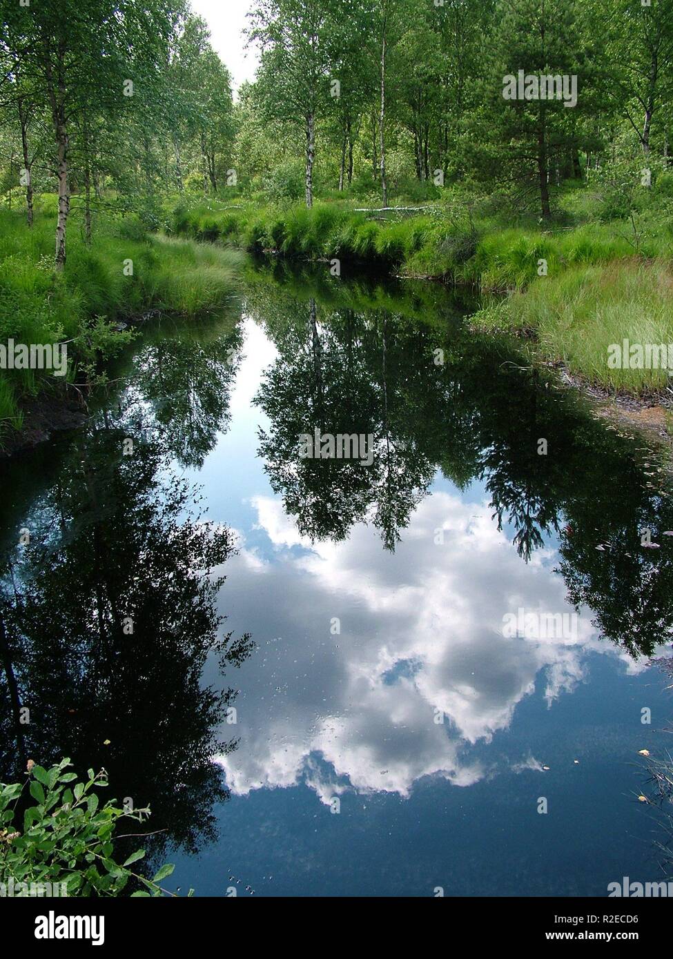stream with clouds Stock Photo - Alamy