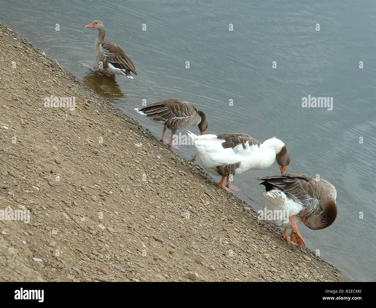 Runaway lake hi-res stock photography and images - Alamy