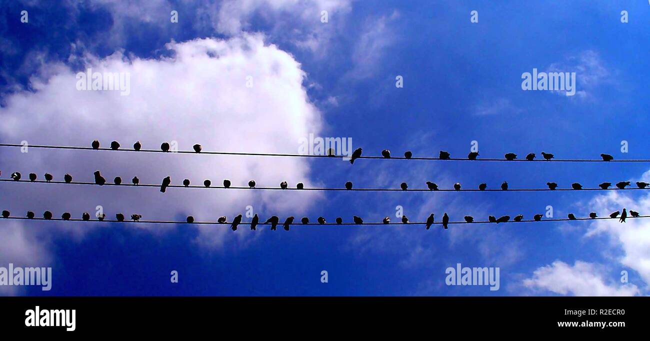 Counter current pool hi-res stock photography and images - Alamy