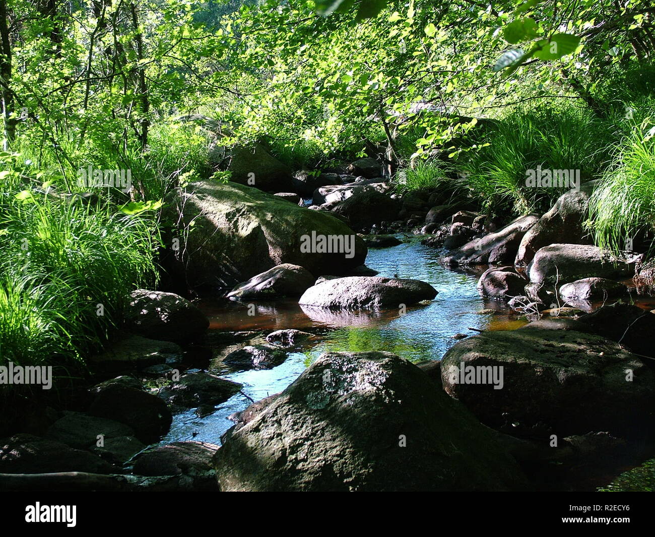 hidden river sections Stock Photo - Alamy
