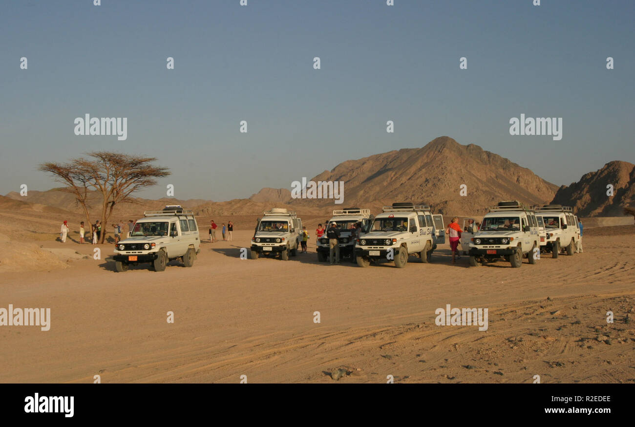pause at the waterhole Stock Photo - Alamy