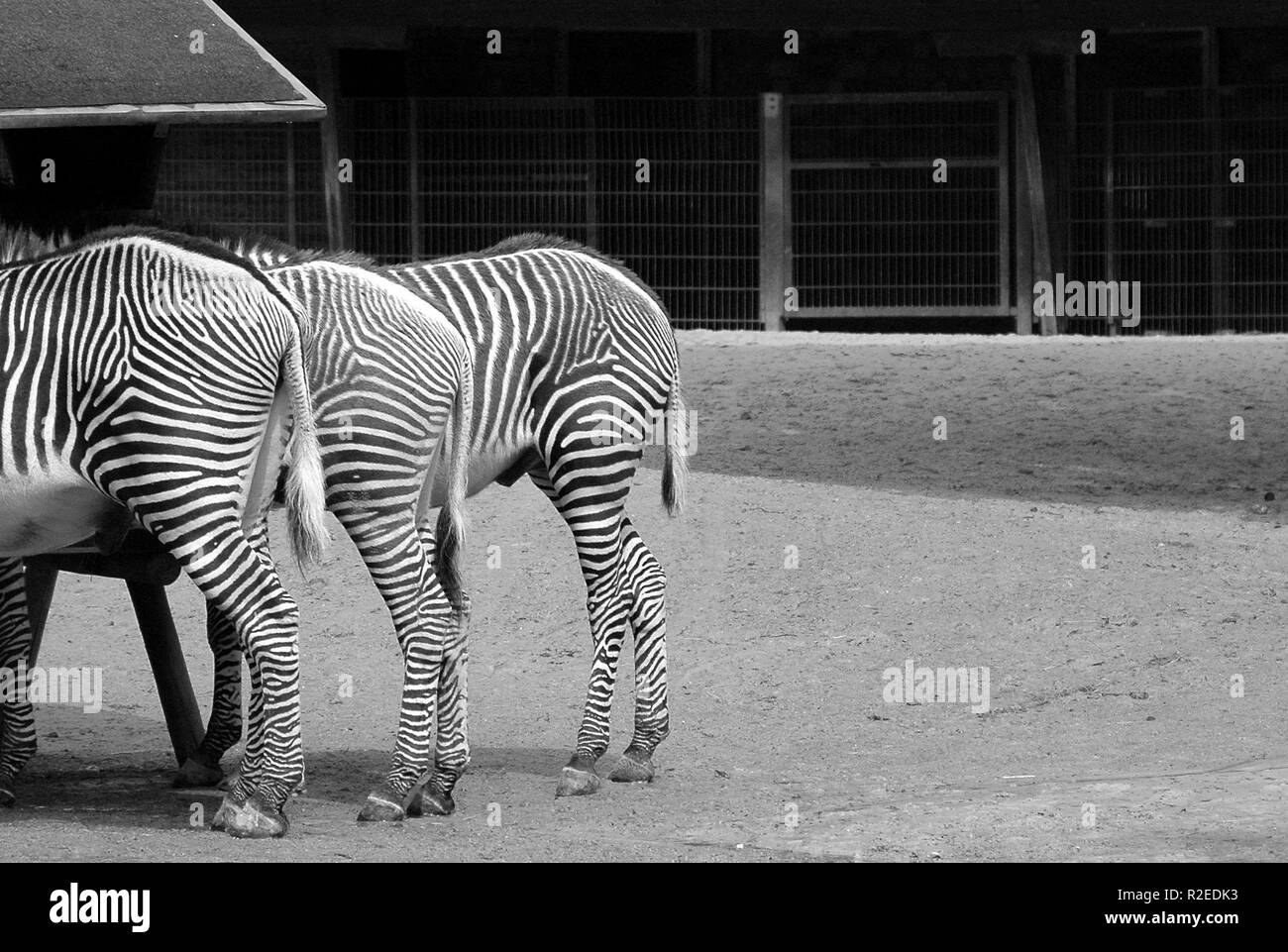 Poooo hi-res stock photography and images - Alamy