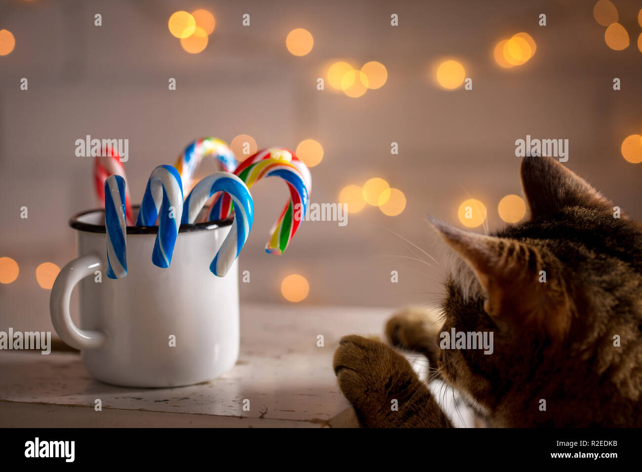 Cat with candy Stock Photo - Alamy