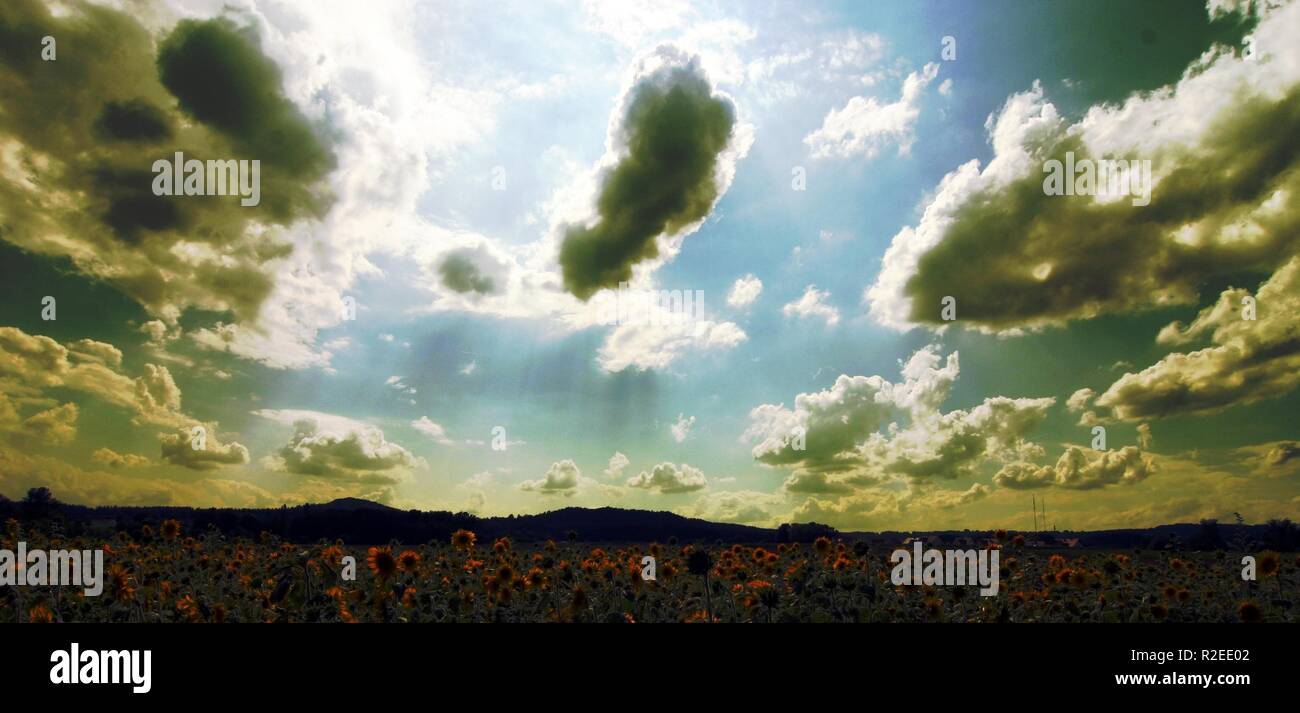 summer evening dream Stock Photo - Alamy