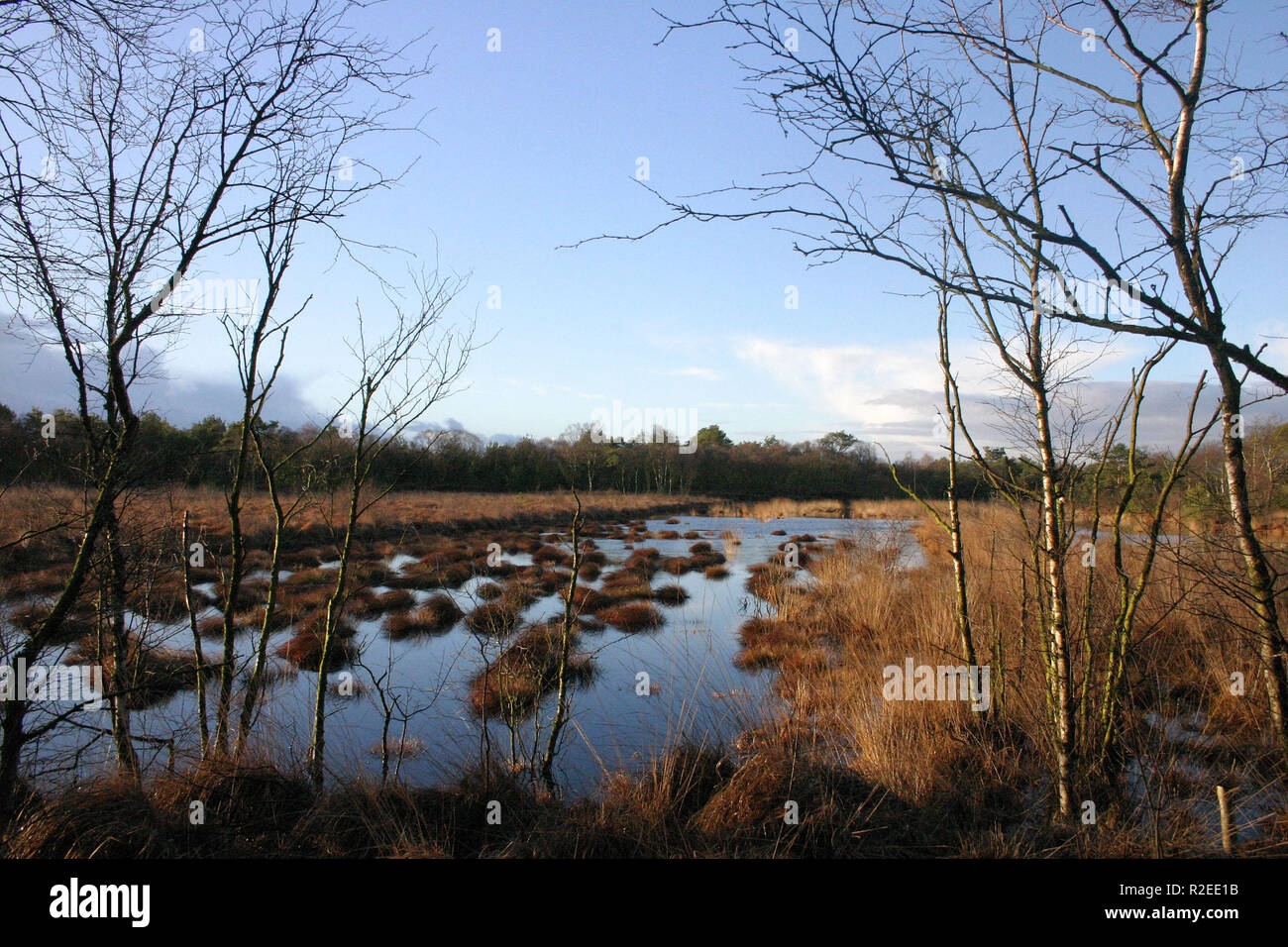 Moorlandschaft hi-res stock photography and images - Alamy