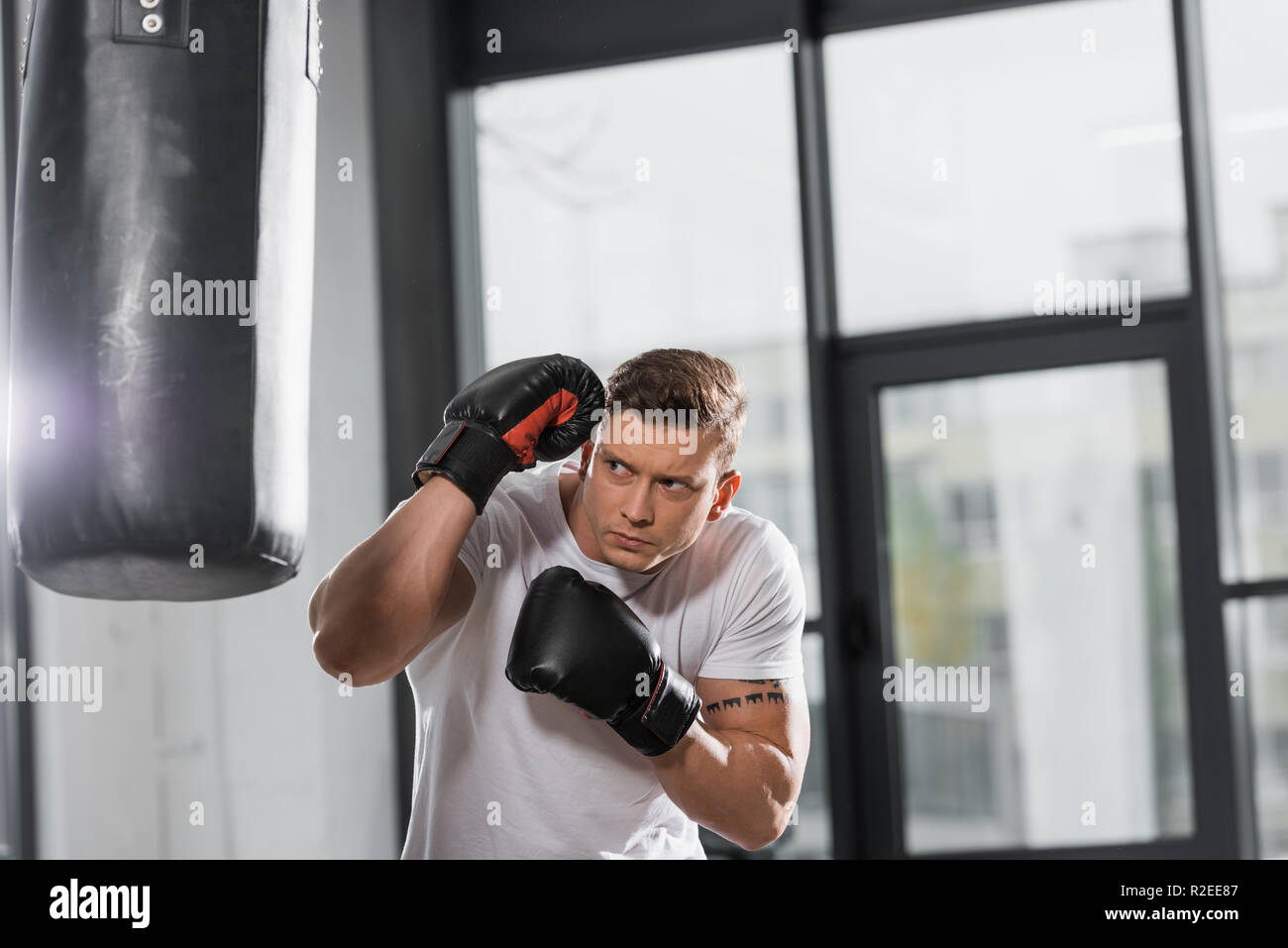 handsome muscular boxer exercising with punching bag in gym Stock Photo ...