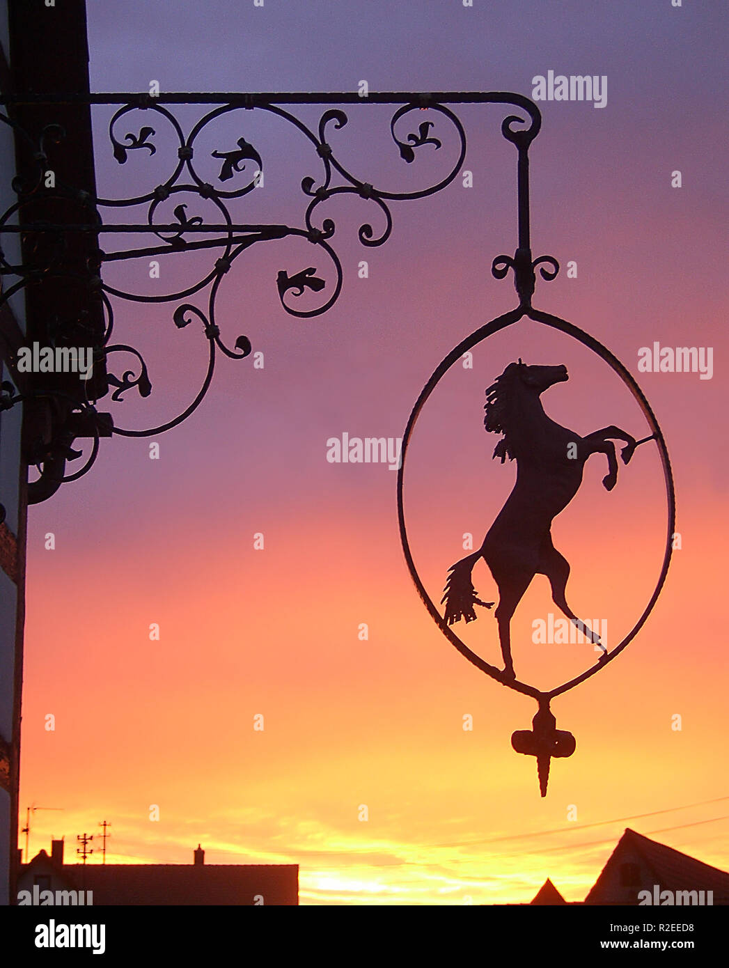 Red ross hi-res stock photography and images - Alamy