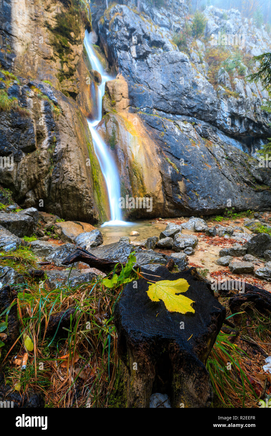 Moss Rocks Trees High Resolution Stock Photography and Images - Alamy