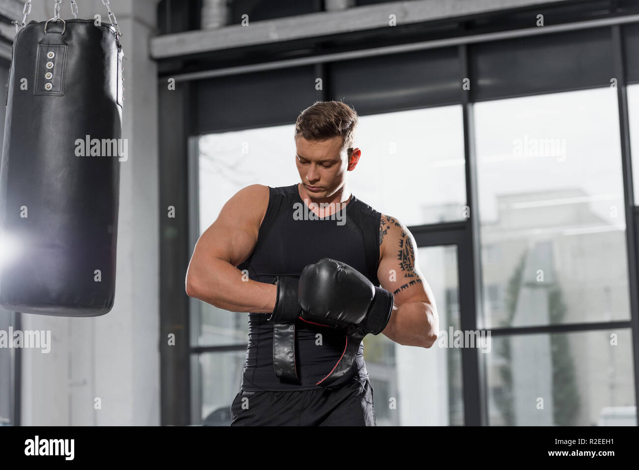 low angle view of handsome muscular boxer wearing boxing gloves in gym ...