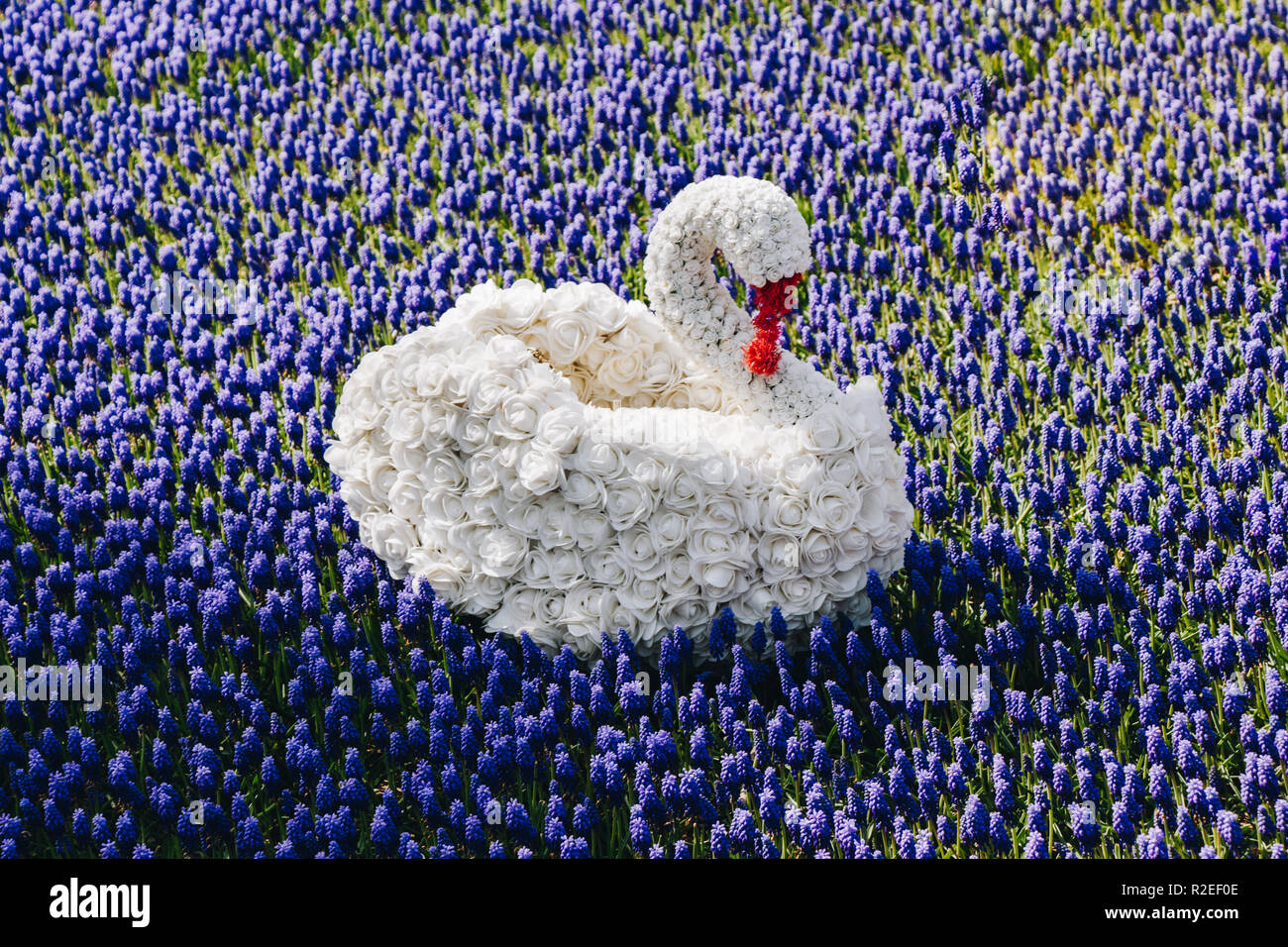 Swan figure made of flowers in the spring flower garden Stock Photo - Alamy