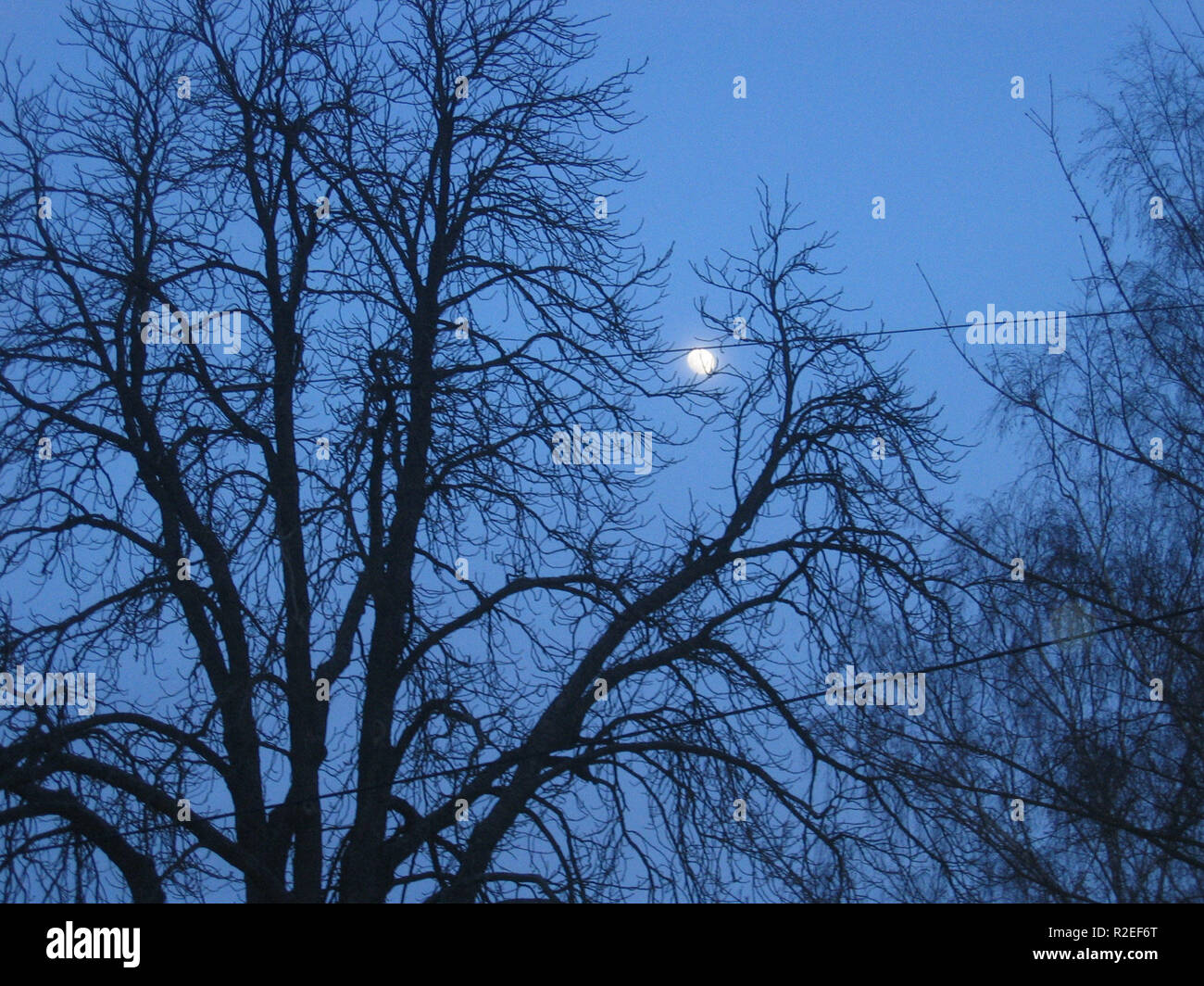 Feelingly hi-res stock photography and images - Alamy