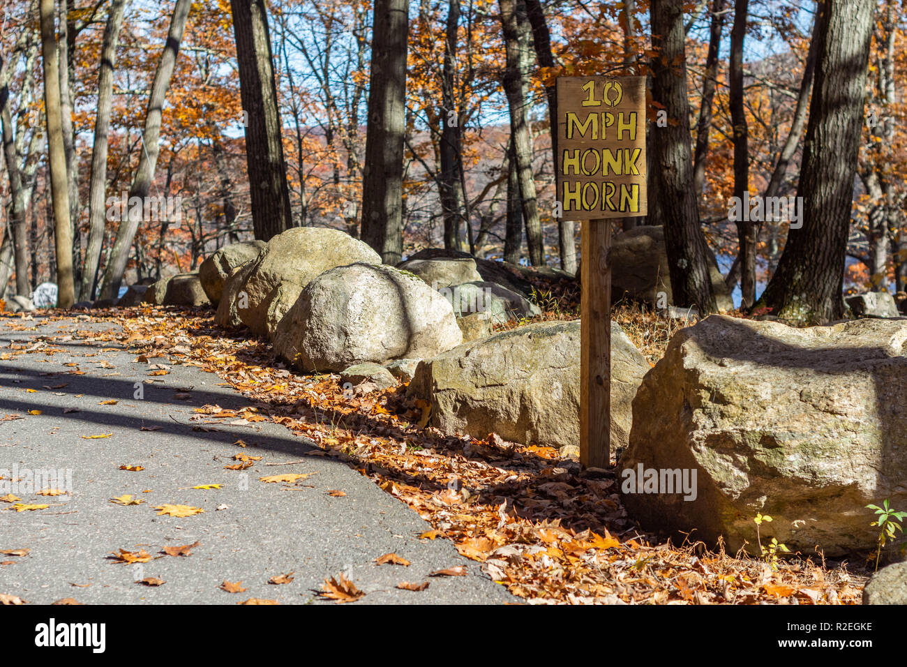 Wood speed limit sign in park in woods Stock Photo - Alamy