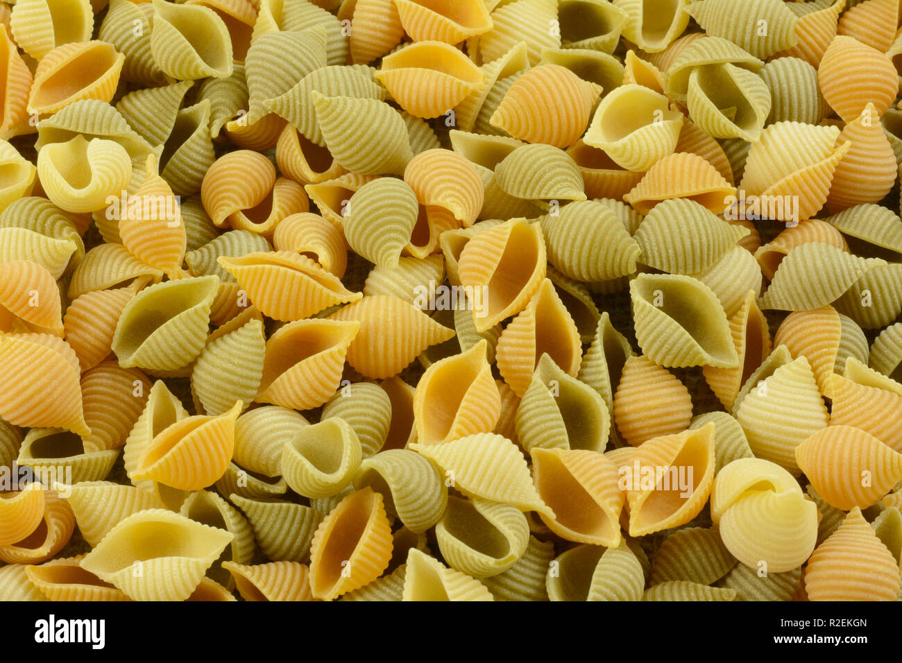 Raw and dry tricolor spinach tomato and wheat conchiglioni vegetable ...