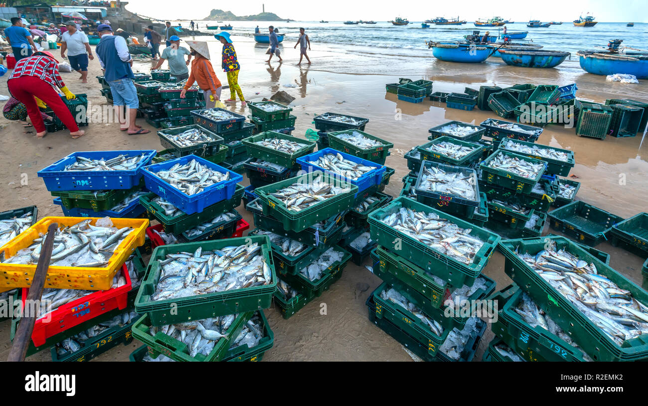 Fish market session seas scene people gathered inside basket fish sale ...