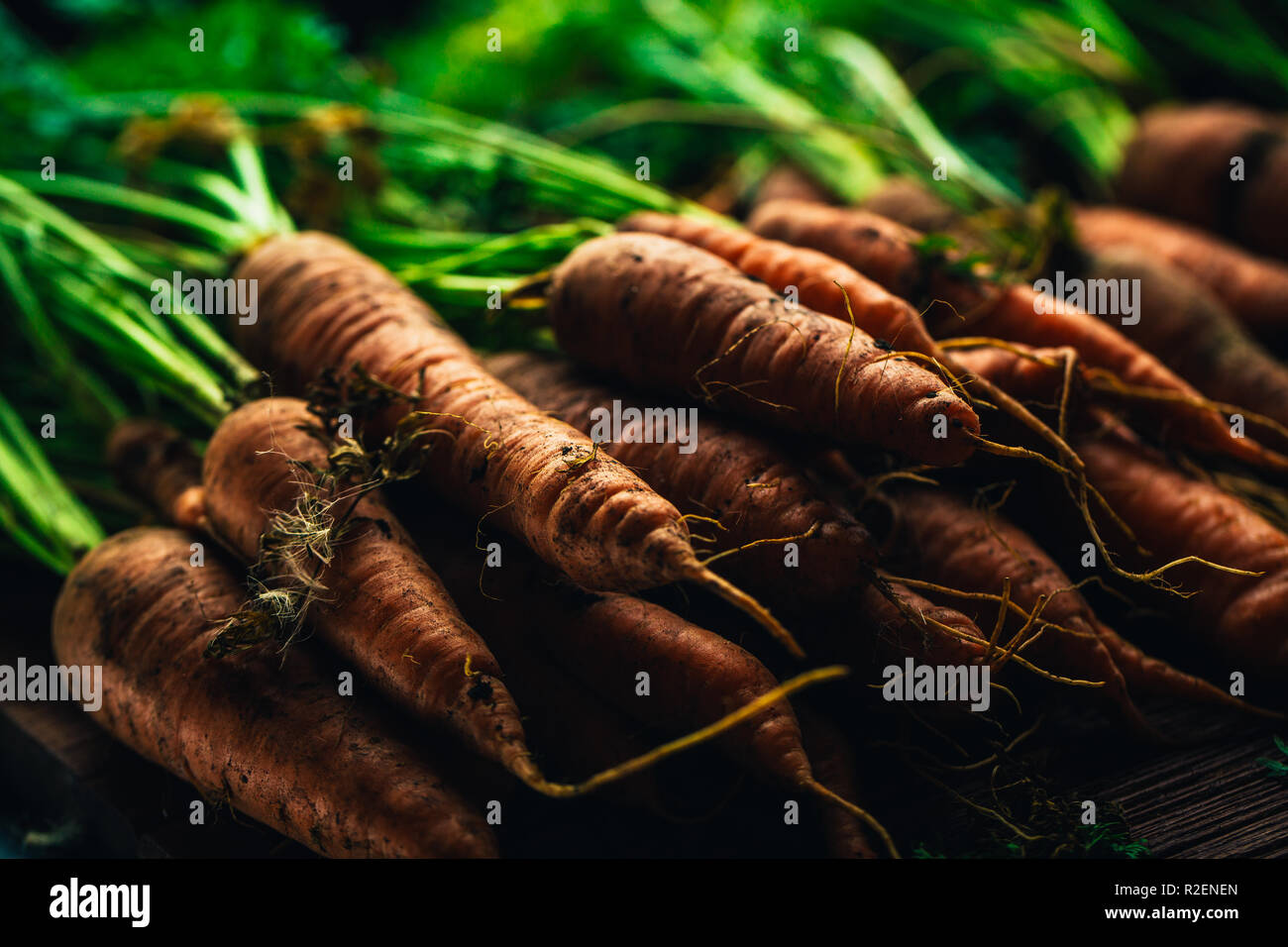 Fresh carrots from the garden close-up on a wooden background Stock ...