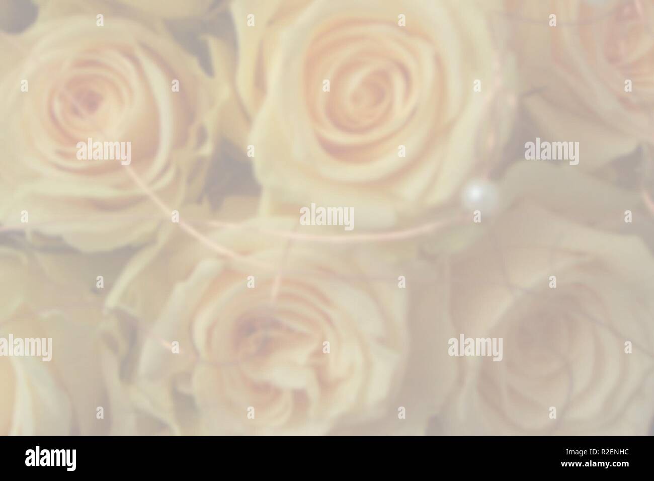 background yellow roses Stock Photo - Alamy