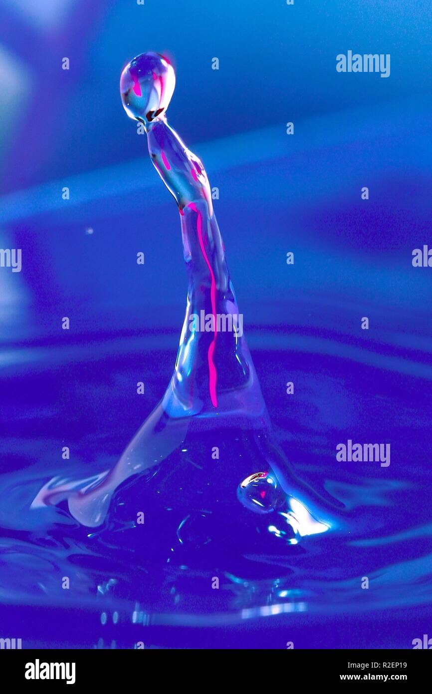 Wasseralien hi-res stock photography and images - Alamy