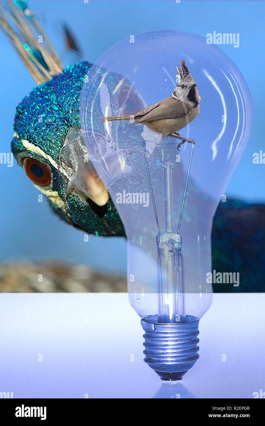 Caged bulb hi-res stock photography and images - Alamy