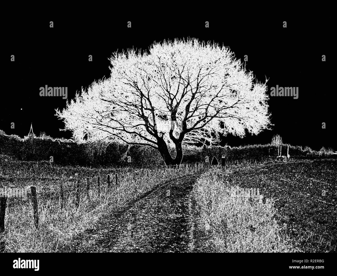 Scaffolding or similar structures Black and White Stock Photos & Images ...