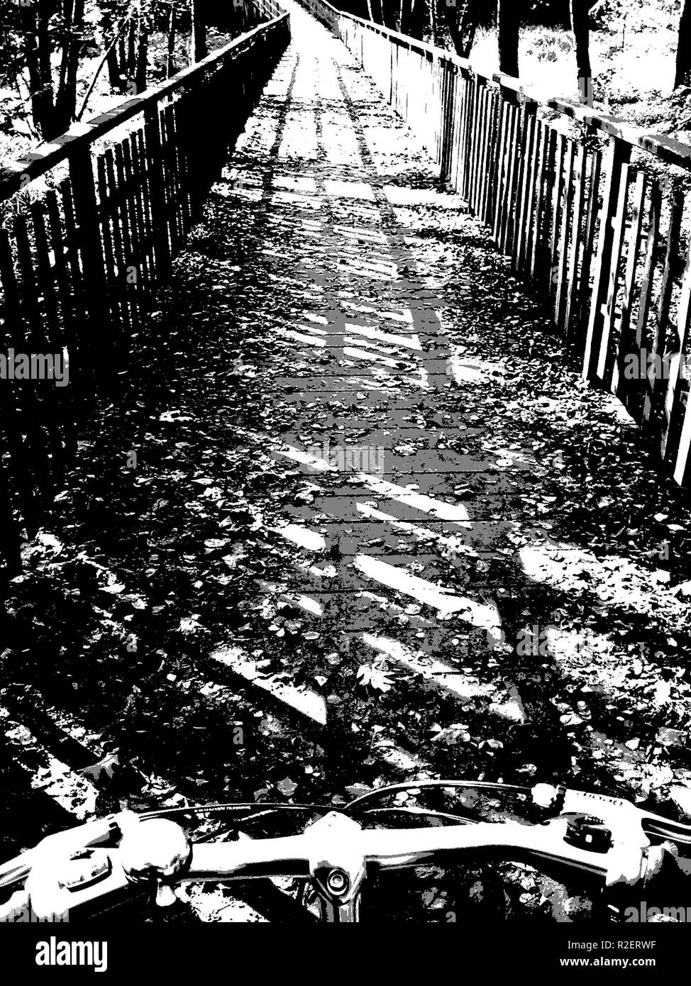 Forest way Black and White Stock Photos & Images - Alamy